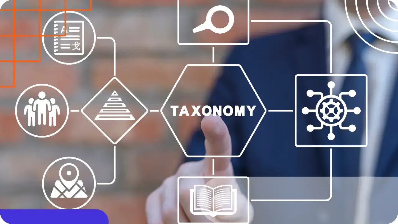 Top 10 Skills Taxonomy Software in 2025 | iMocha